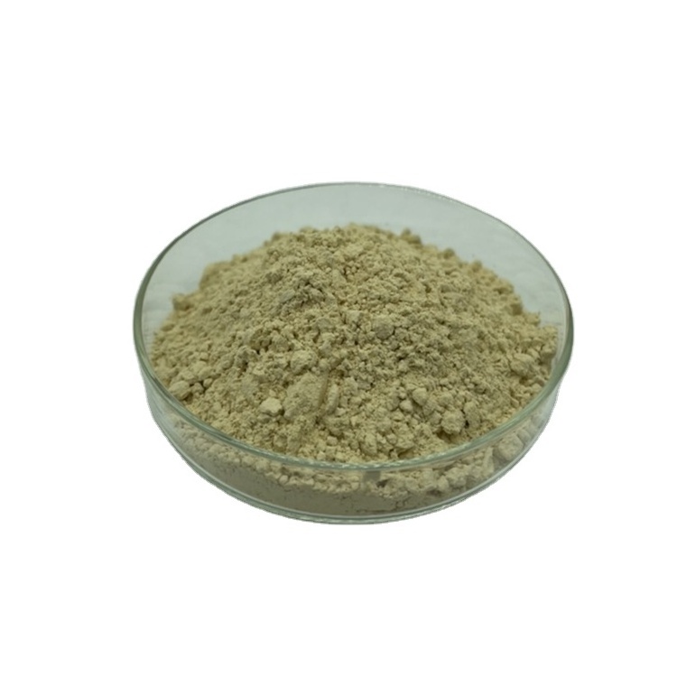 90% Natural Rosemary Antioxidant Rosemary Leaf Extract Carnosic Acid ...