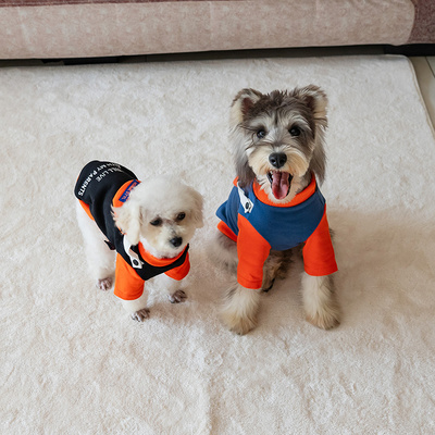 Wholesale Anxiety Pet Apparel Designer Jacket Carry Dog Hoodie With Pet Pocket Sweater Dog Clothing Suppliers BestSuppliers