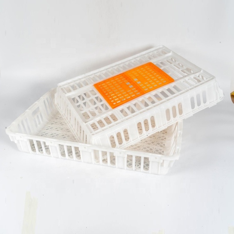 Poultry Plastic Transport Crate live Chick Turnover Box Chicken ...