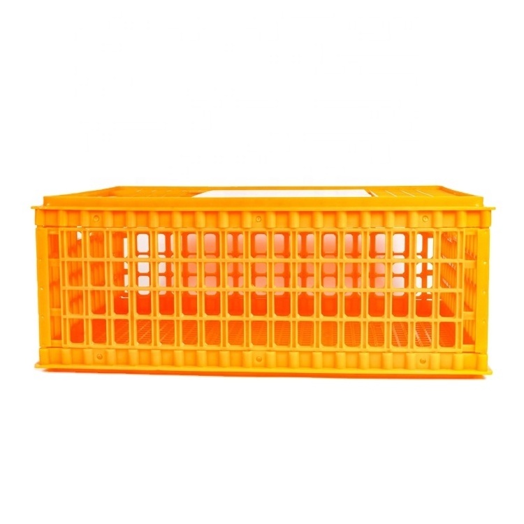 Poultry Plastic Transport Crate live Chick Turnover Box Chicken ...
