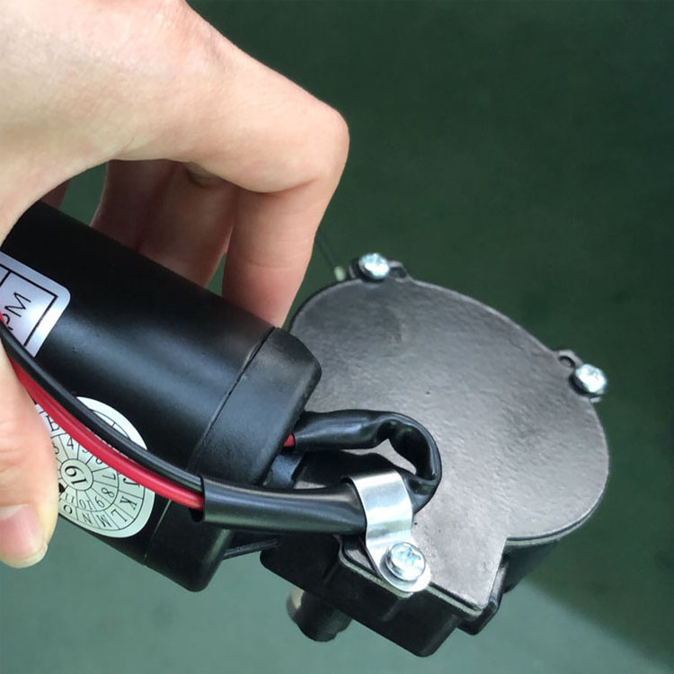 12v Dc Electric Motor for Bicycle 250W Car Power Torque Brush Boat Fan ...