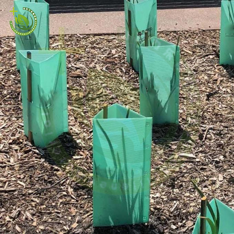 Corrugated plastic triangle Tree Guards/Grape Vine Guards/tree Trunk ...