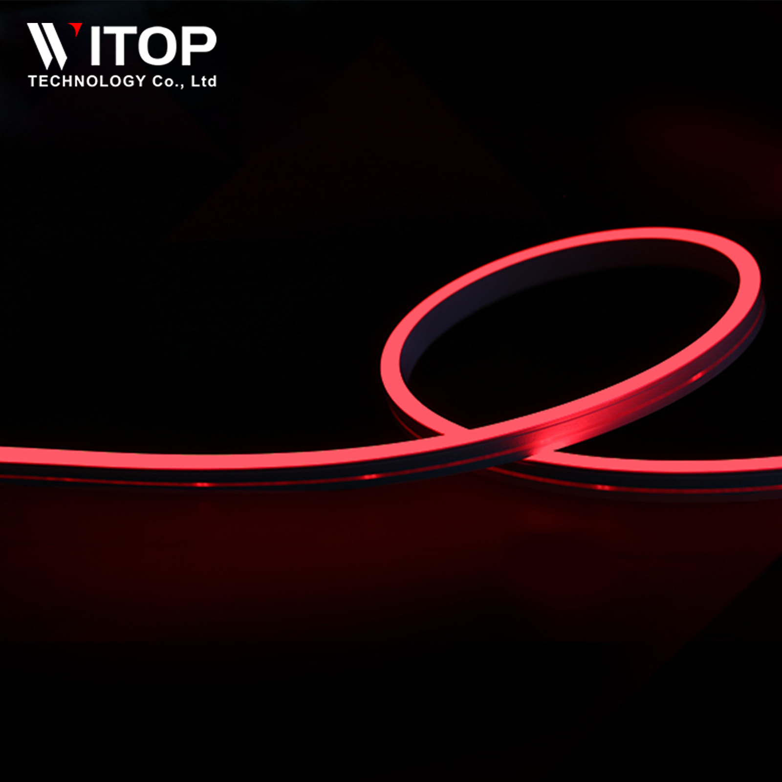 Customized RGB Light Neon Rope 12V IP65 IP67 IP68 Indoor Outdoor Flat ...