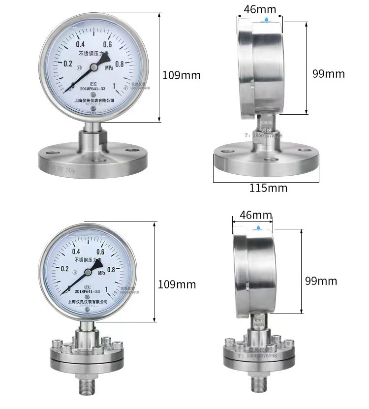 Bourdon Tube Pressure Gauge w/ Output Signal and Flush Diaphragm ...