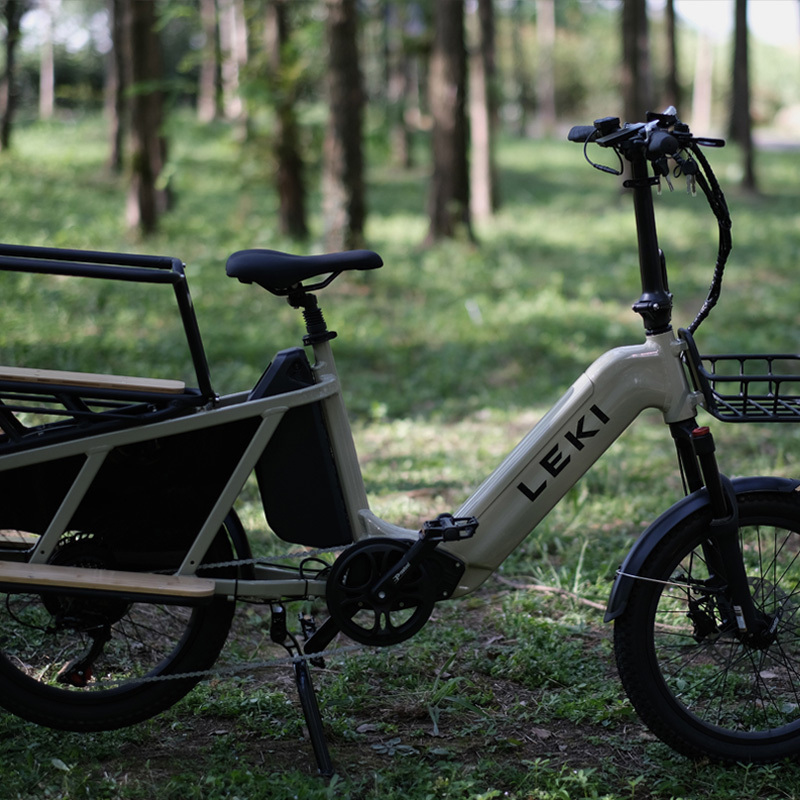 Pet ebike Electric Cargo Bicycle Dual Battery Packs E-Cargo e-Bike Long ...