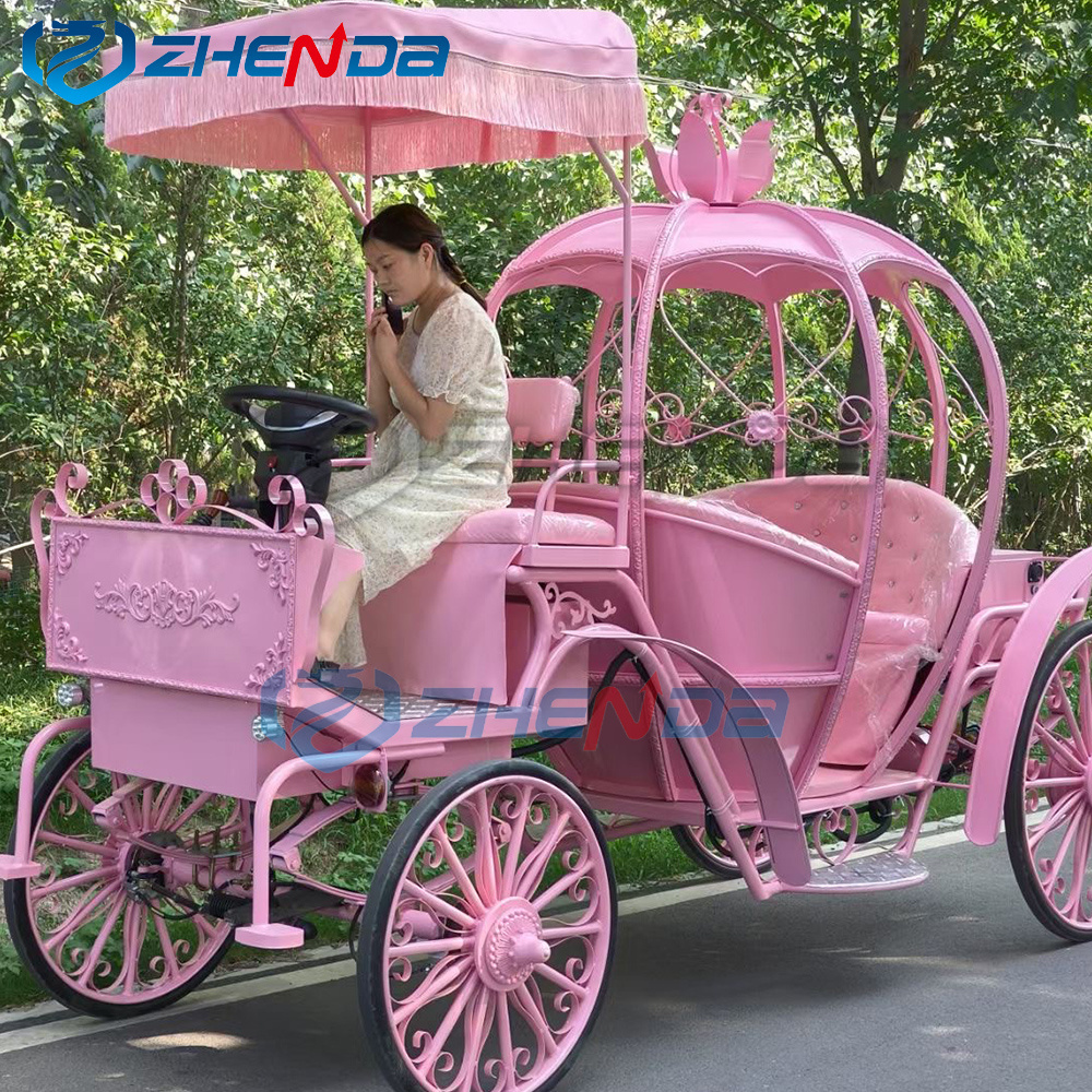 Cinderella Pumpkin Wedding Carriage for Tourist /Princess Electric ...
