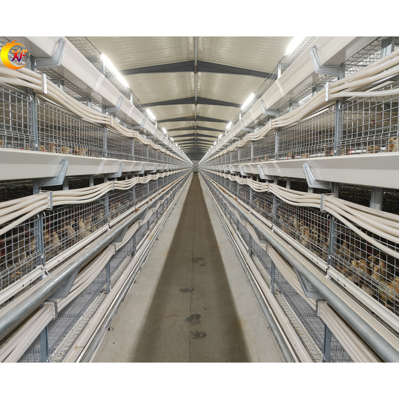 Poultry Farming Equipment Automatic Industrial Chicken Coop Design ...
