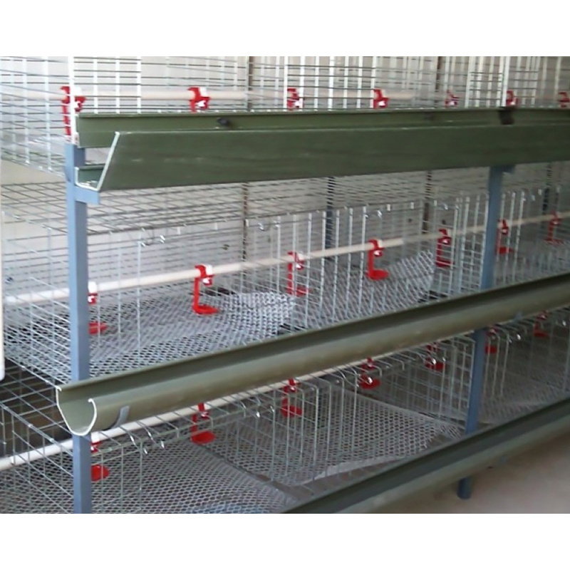 Poultry Equipment Unmanned H Type Broiler Cage PP Belt Manure Removal ...
