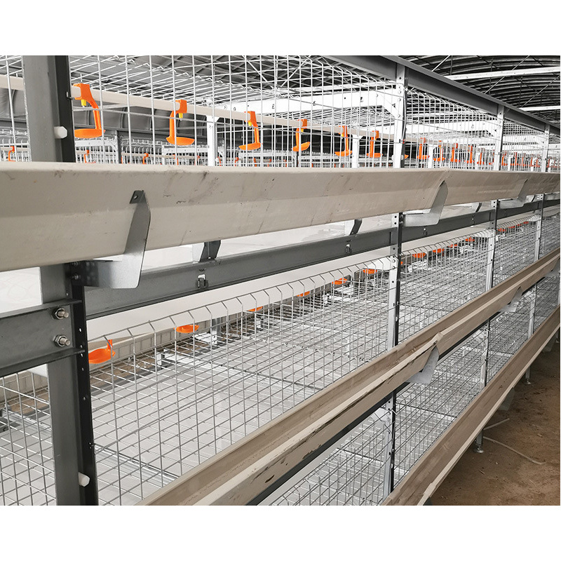 Poultry Equipment Unmanned H Type Broiler Cage PP Belt Manure Removal ...