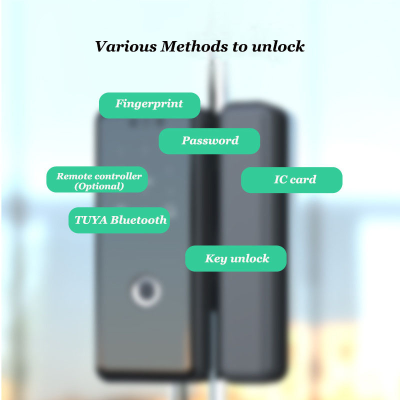 3D Facial Recognition Camera Lock For Commercial Glass Aluminum ...
