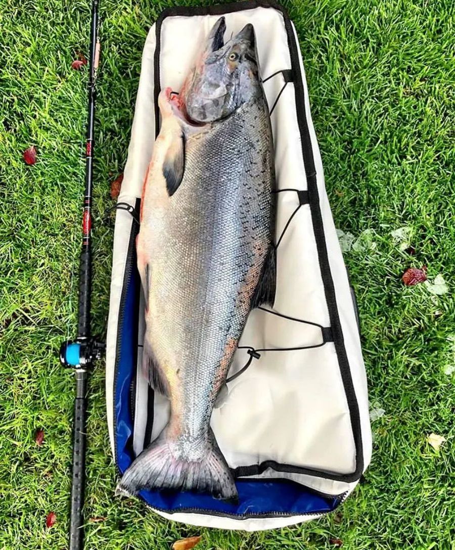 Insulated Boone Monster Fish Cooler Bag Leakproof Fish Kill Bag Large ...