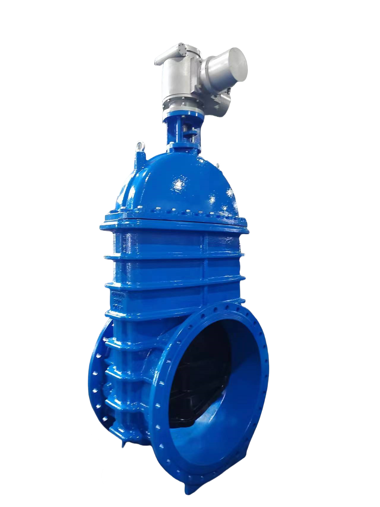 Big Size Cast Iron Flange Type Resilient Soft Seated Gate Valve with ...