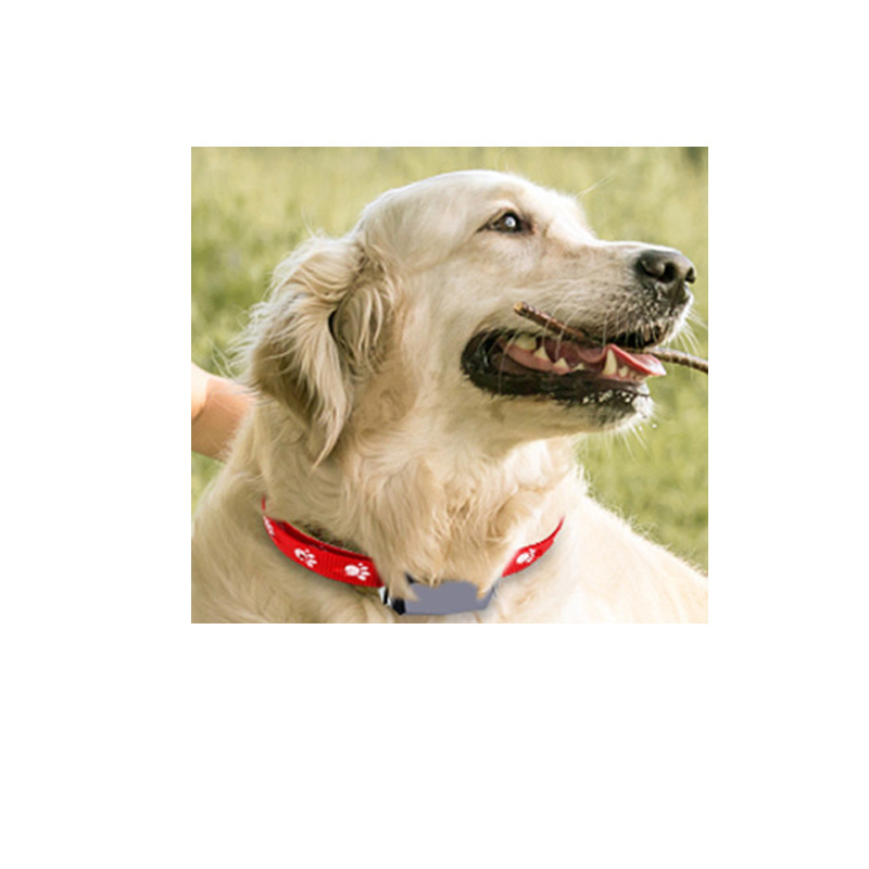 Smart Mini Anti-lost Pet Tracker Waterproof Wireless Cleverly Gps ...