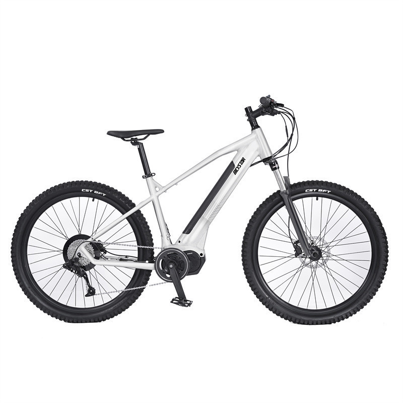 Small electric bike popular in hot sales model white color small motor ...