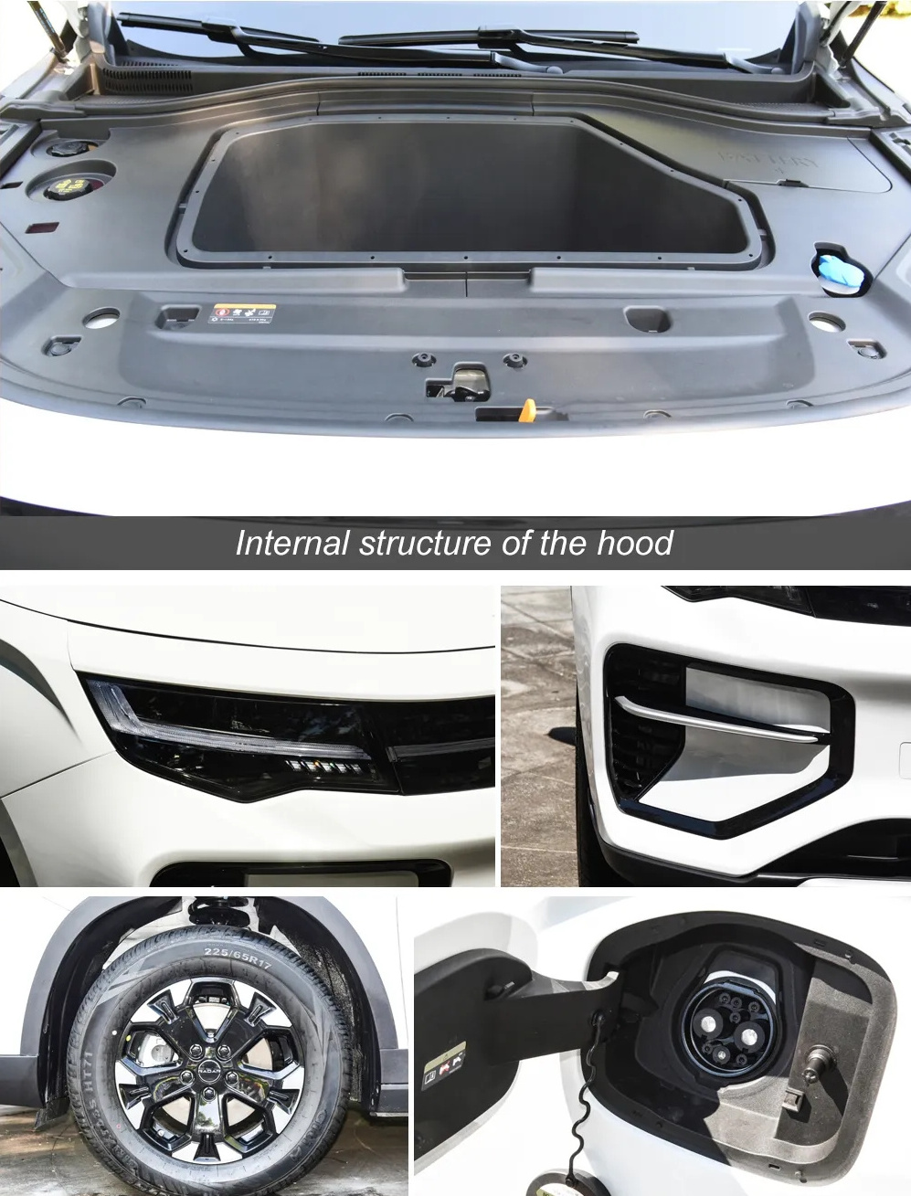 rd6 Geely Radar RD6 electric pickup truck ev electric car 5 seats ev ...