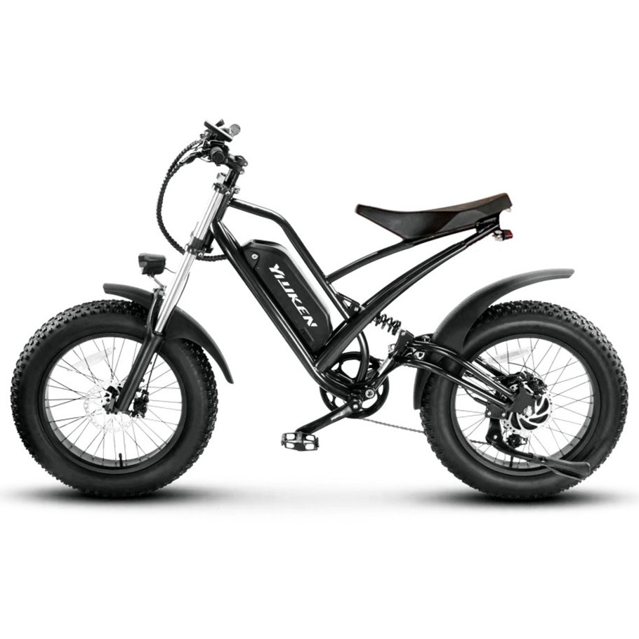 Fatbike fat bike kenda tyres 20 24" food cargo bike electric ebike e ...