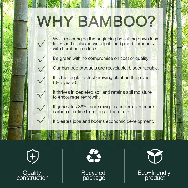 Eco friendly Biodegradable Bamboo Handle Men Shaving Razor Shaving ...