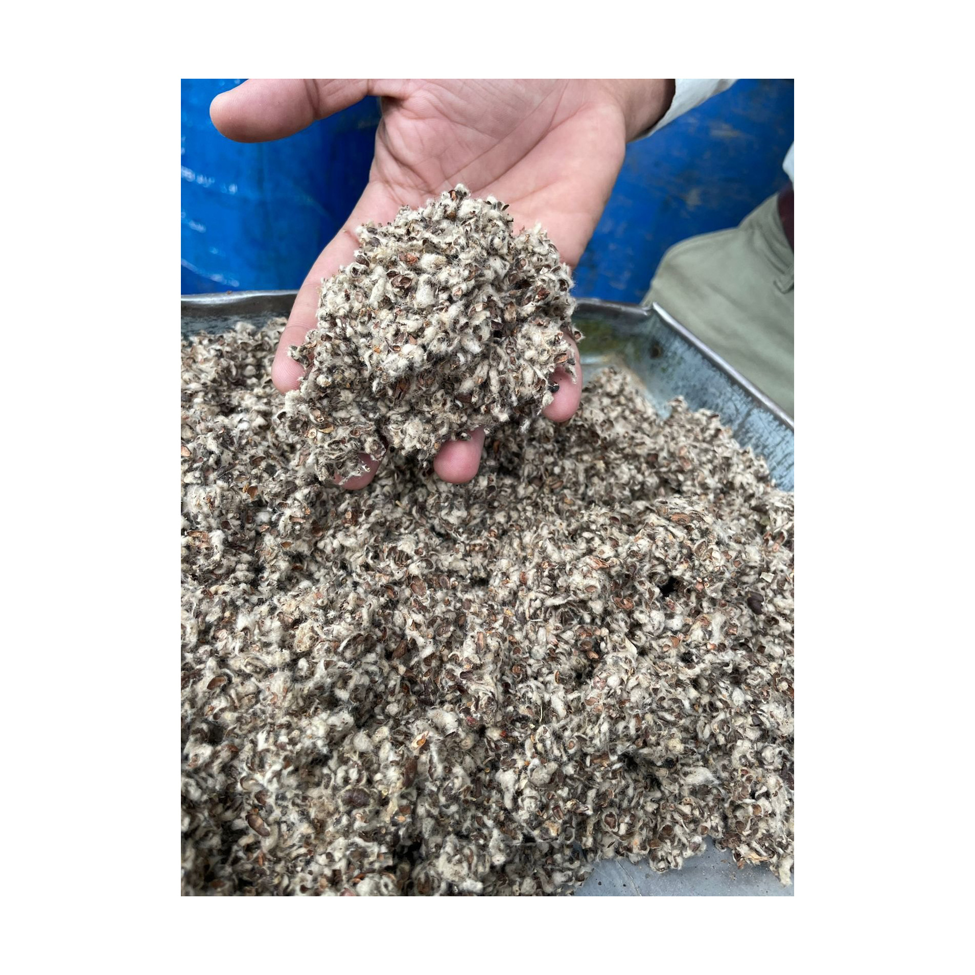 Top quality cotton seed hull / Cottonseed Hull Pellets high protein ...