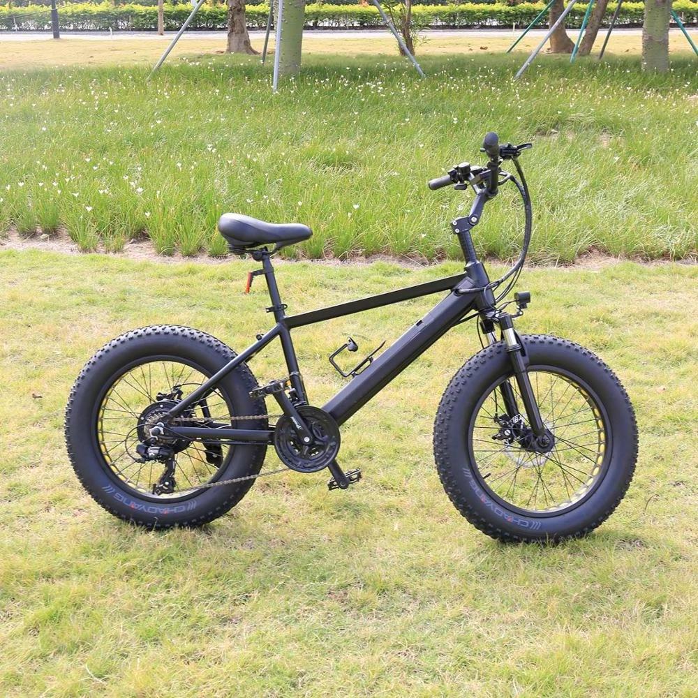 20 inch fat tire 500w electric bike electronic 21speed 36v 48v fat ...