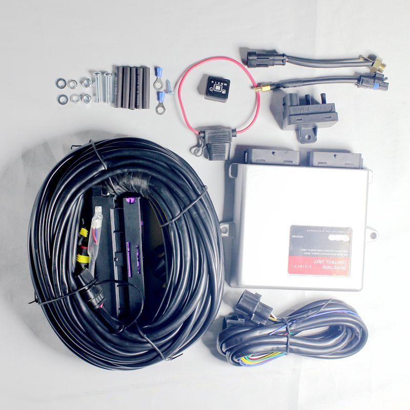 Car LPG conversion kit AEB 2568 ECU style for 6Cly engine petrol to gas ...