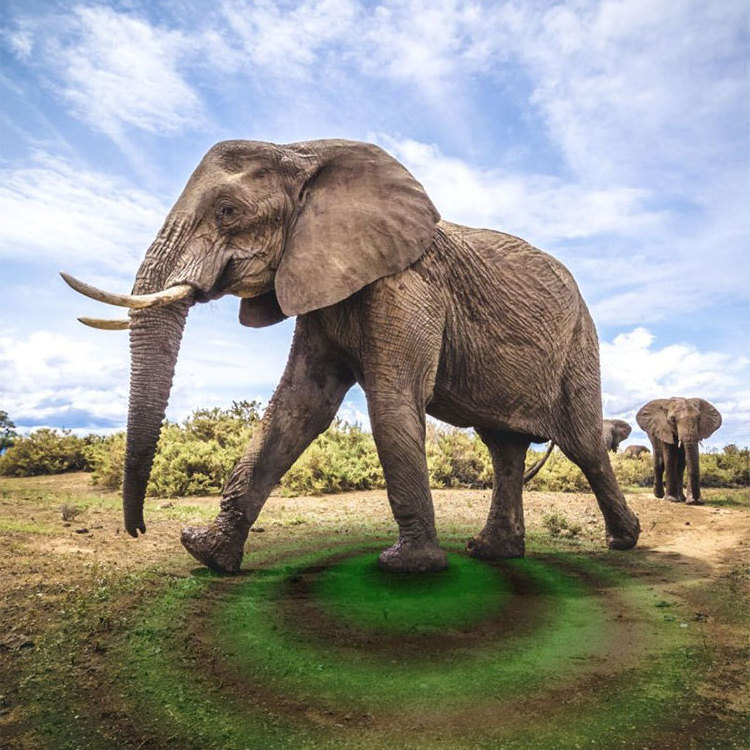 Realistic artificial elephant model animatronic animal big-size ...