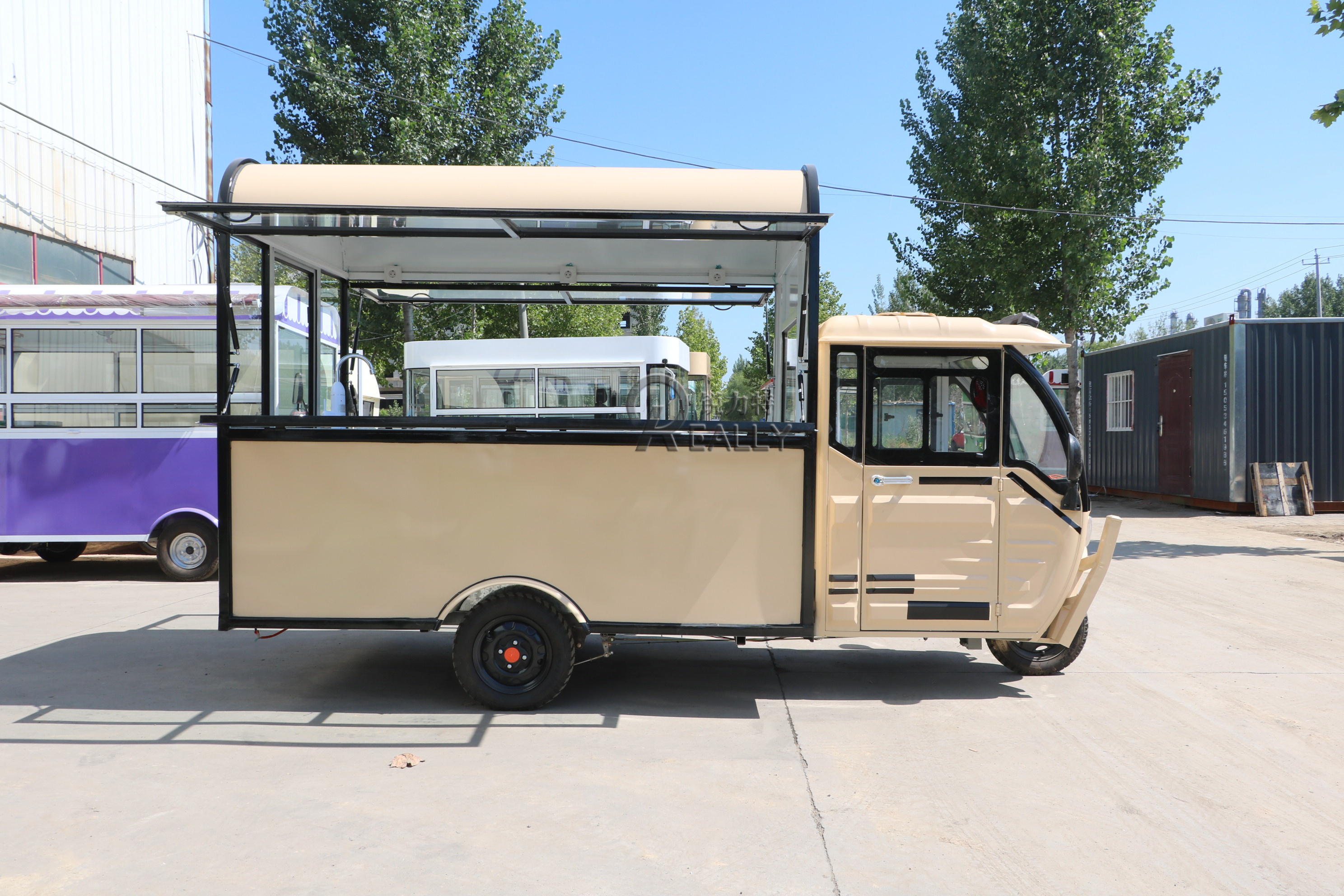 Three Wheel Electric Tuk Tuk Closed Body Type for Passenger Adults ...